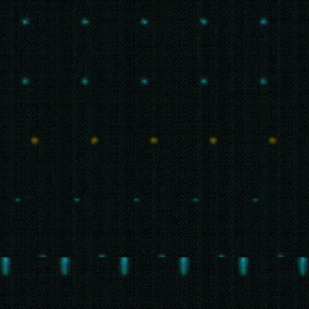 glitchy tree | zeroone