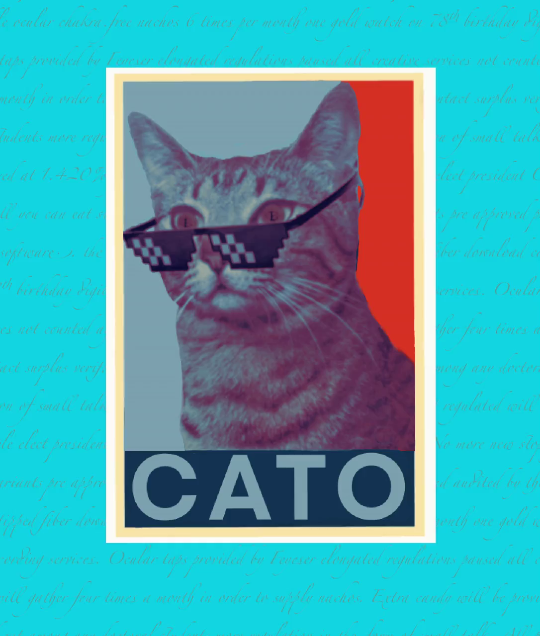 CATO Presidential poster multicolor background with new laws in effect ...