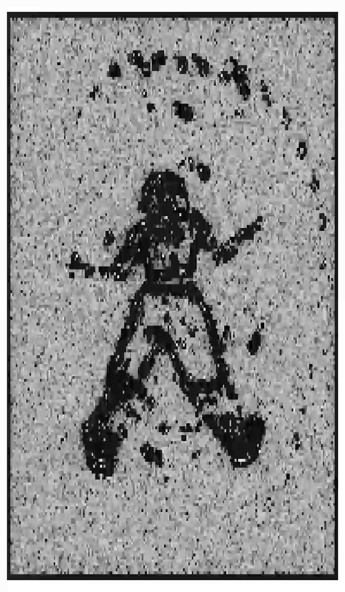 Pixel Art Dancer #004 | zeroone